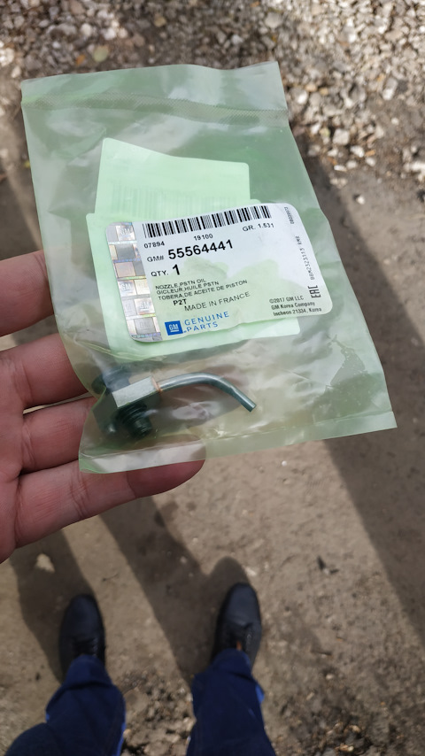 55564441 Масляная форсунка двигателя GM | Запчасти на DRIVE2