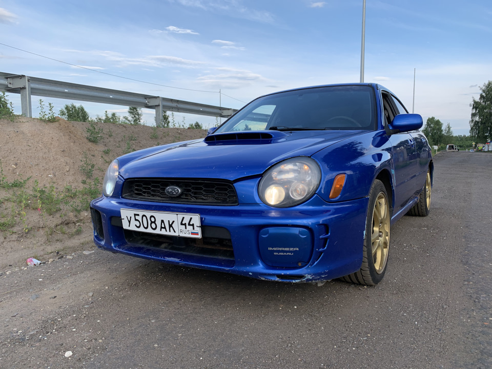 WRX снова у меня👍 — Subaru Impreza WRX (GD/GG), 2 л, 2001 года | другое ...