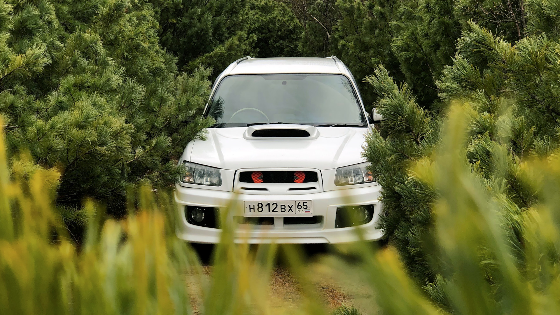 Subaru Forester (SG) 2.0 бензиновый 2003 | 2.0 TURBO AT LSD на DRIVE2