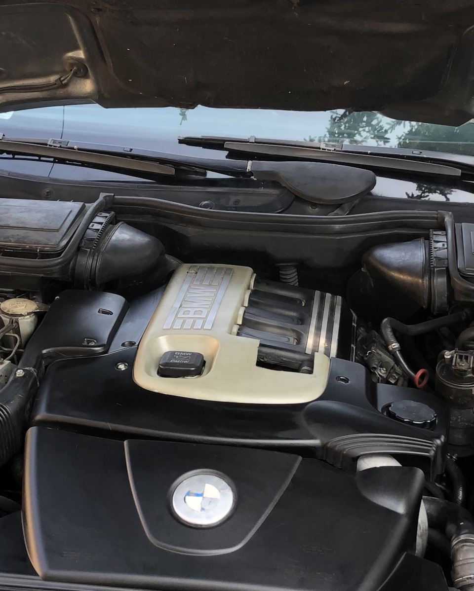 Ищу эмблему Бмв которая под капотом — BMW 5 series (E39), 2 л, 2001 ...