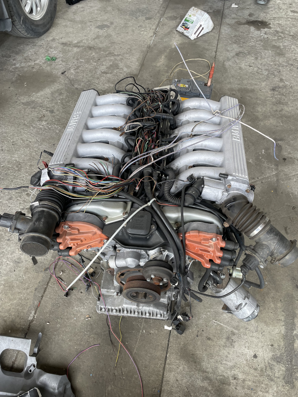 Запуск v12 m73b54 для e30 — BMW 3 series (E30), 5,4 л, 1984 года ...