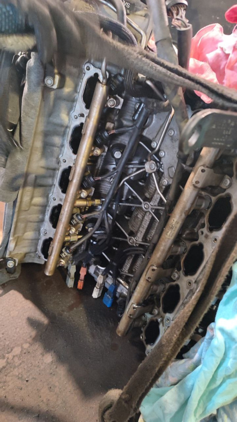 N90959701 Кольцо уплотнительное (22х3,55) / VAG | Запчасти на DRIVE2