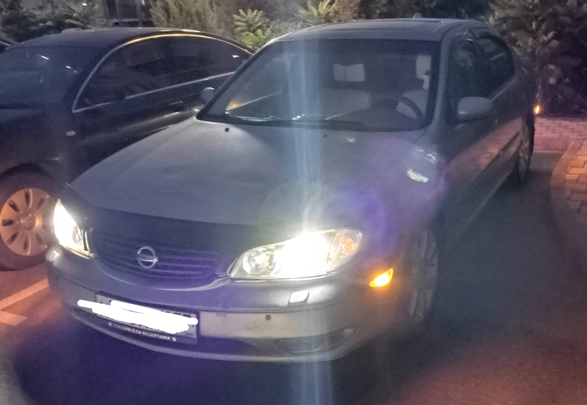 ТО и прочее обслуживание — Nissan Maxima QX (A33), 3 л, 2004 года | плановое ТО | DRIVE2