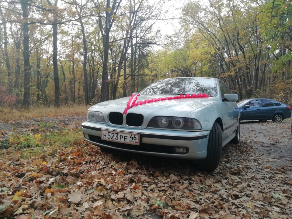 Рест ноздри — BMW 5 series (E39), 2,5 л, 1998 года | стайлинг | DRIVE2