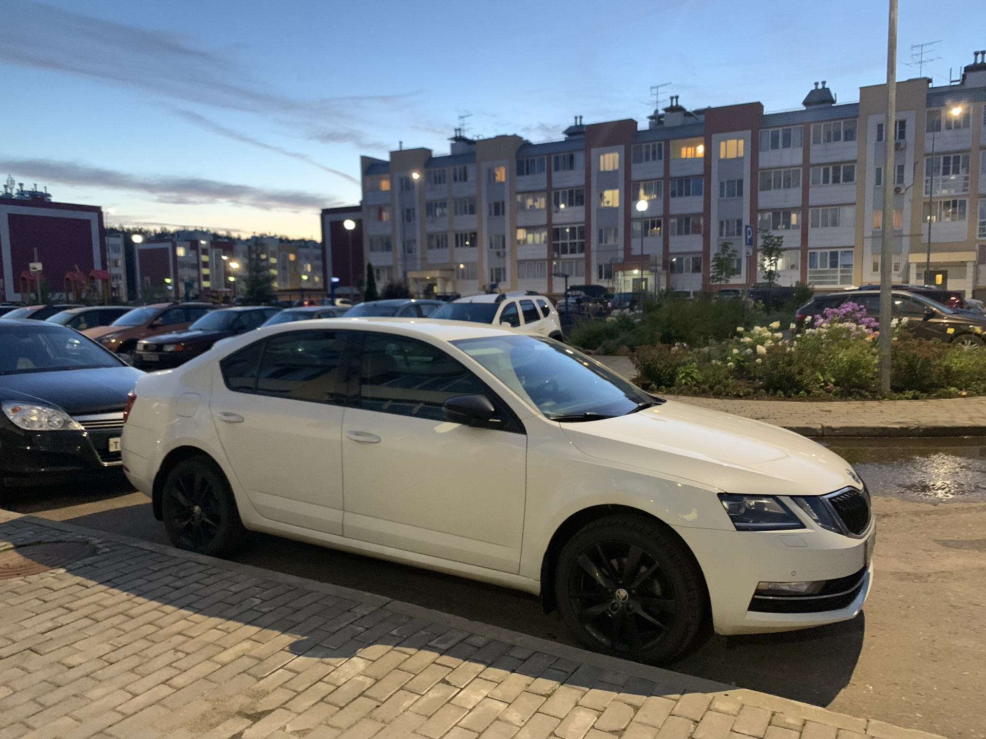 Дела тонировочные. Sun control nr green 50. — Skoda Octavia A7 Mk3, 1,4 ...