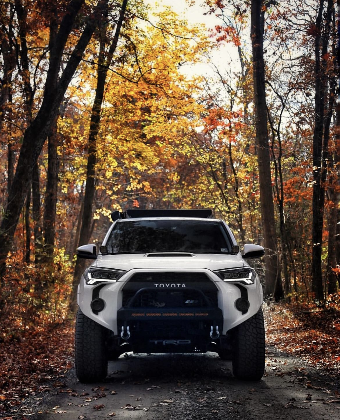 Выбираем цвет! — Toyota 4Runner V, 4 л, 2019 года | стайлинг | DRIVE2