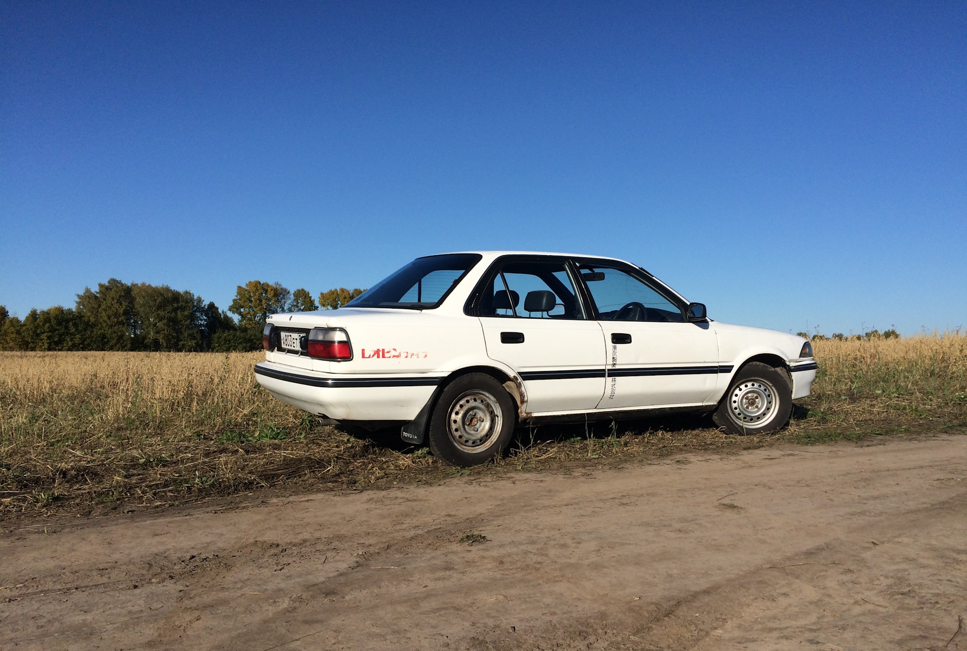 Осень в полях — Toyota Corolla (90), 1,5 л, 1990 года | фотография | DRIVE2
