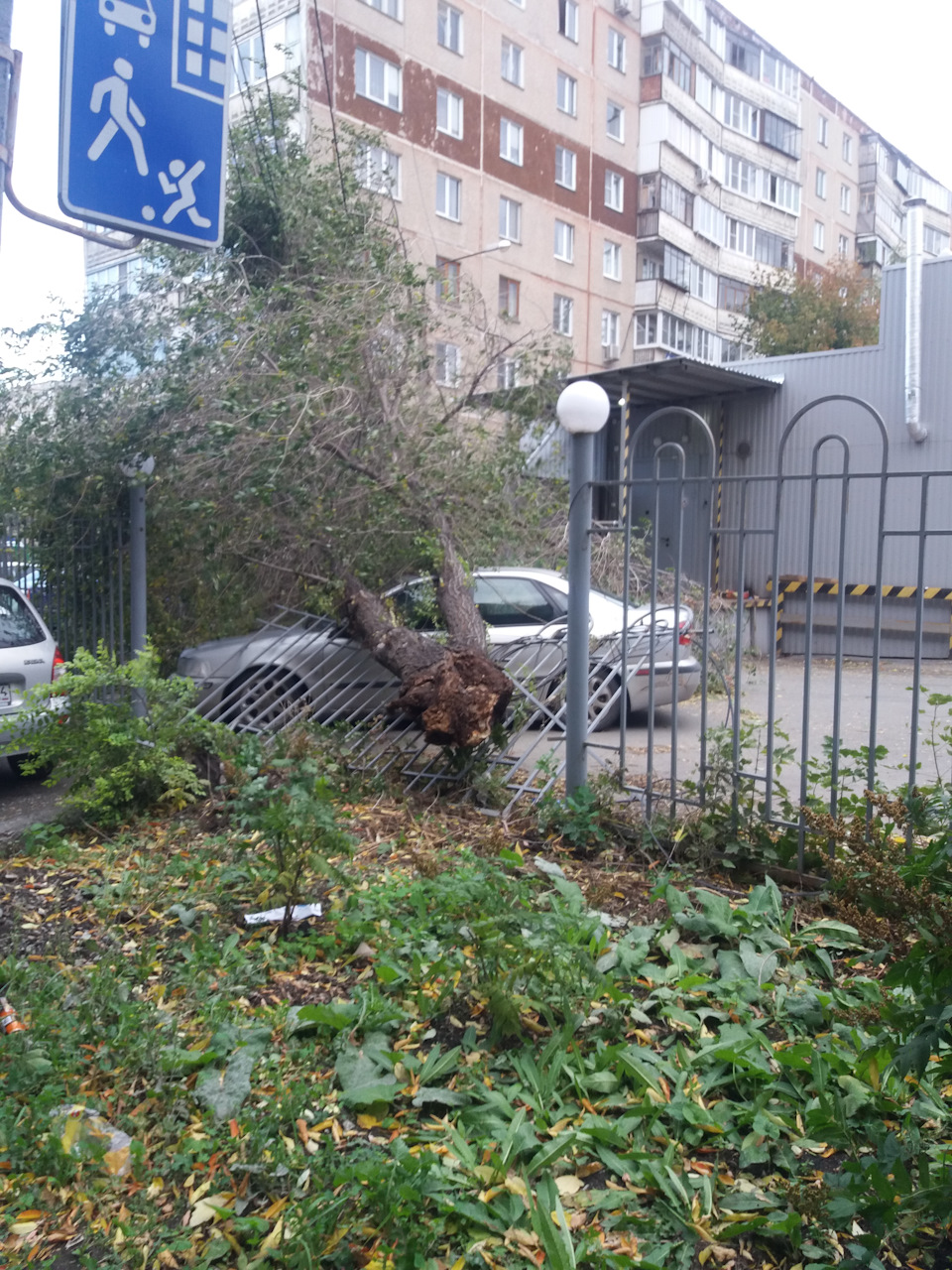 Дерево за забором… было — Renault Sandero Stepway (2G), 1,6 л, 2017 ...