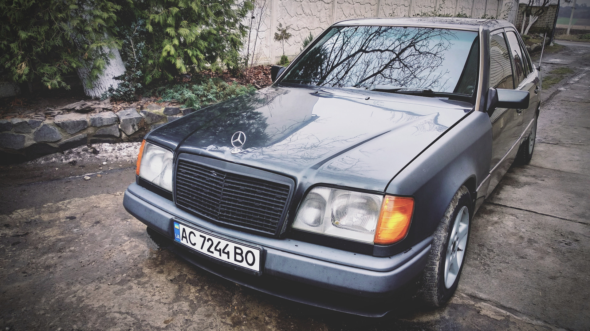 Mercedes-Benz E-Class (W124) 2.3 бензиновый 1991 | E230 на DRIVE2