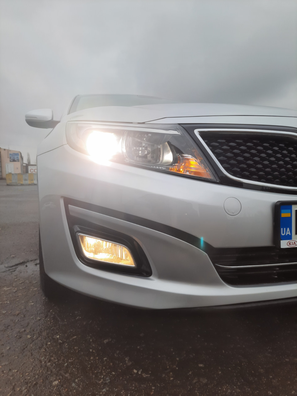 LED в ПТФ — KIA K5 (1G), 2 л, 2014 года | тюнинг | DRIVE2