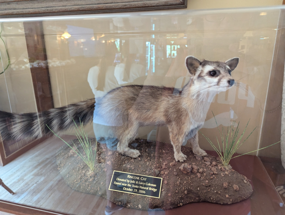 #2 Поездка на Tonto Natural Bridge — Volkswagen Jetta VI, 2 л, 2015 ...