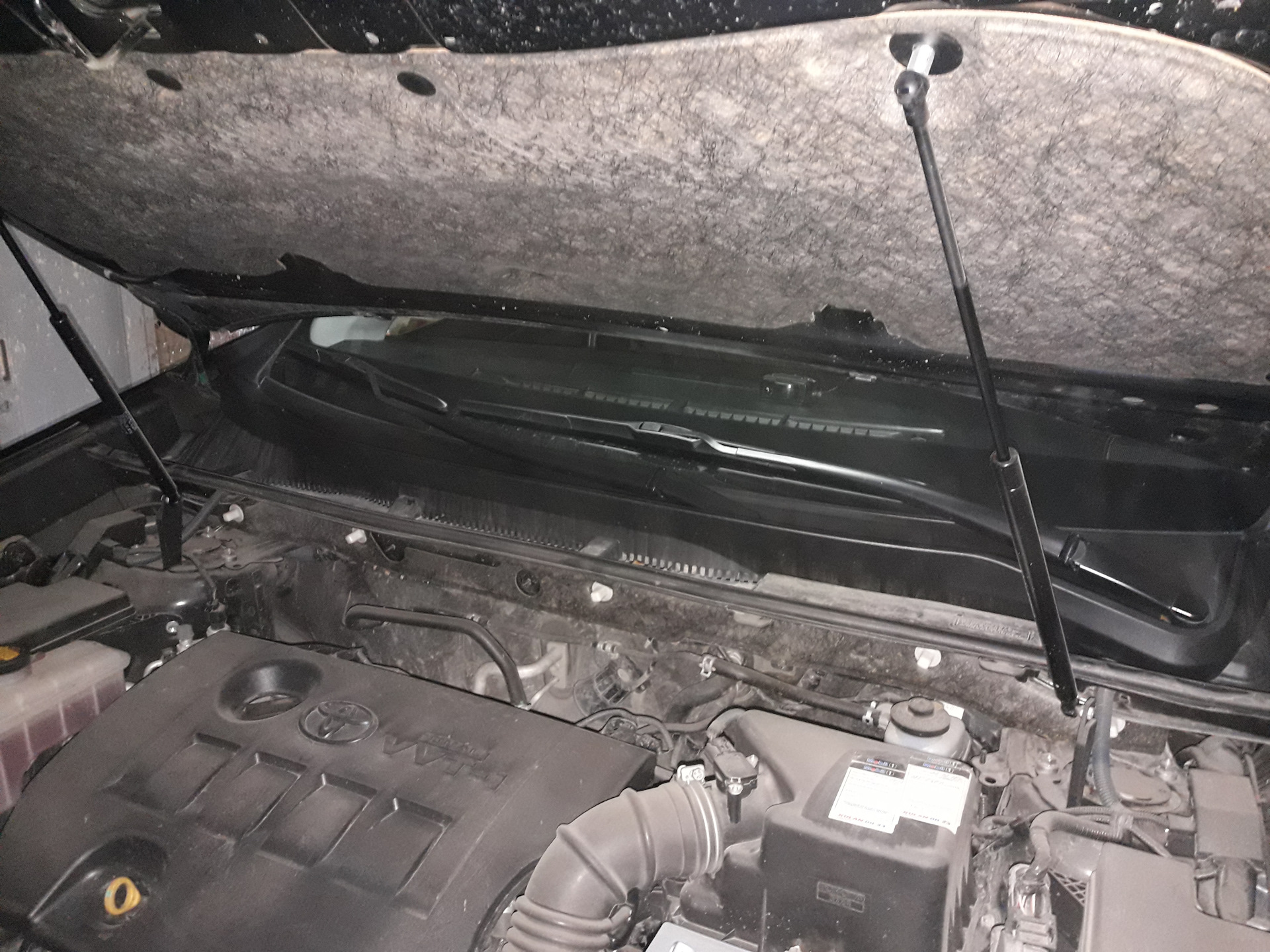 Газовые упоры капота — Toyota RAV4 (IV), 2 л, 2013 года | аксессуары ...