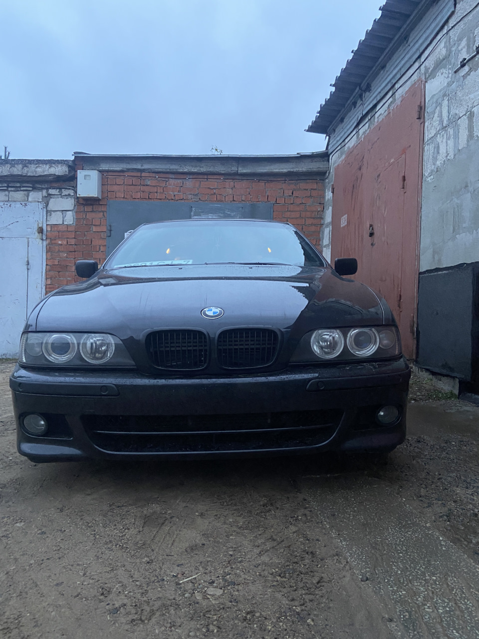 E39 530d 142kW, BiTurbo 200kW (Stok), 5hp24, Dino. — BMW 3 series (E46 ...