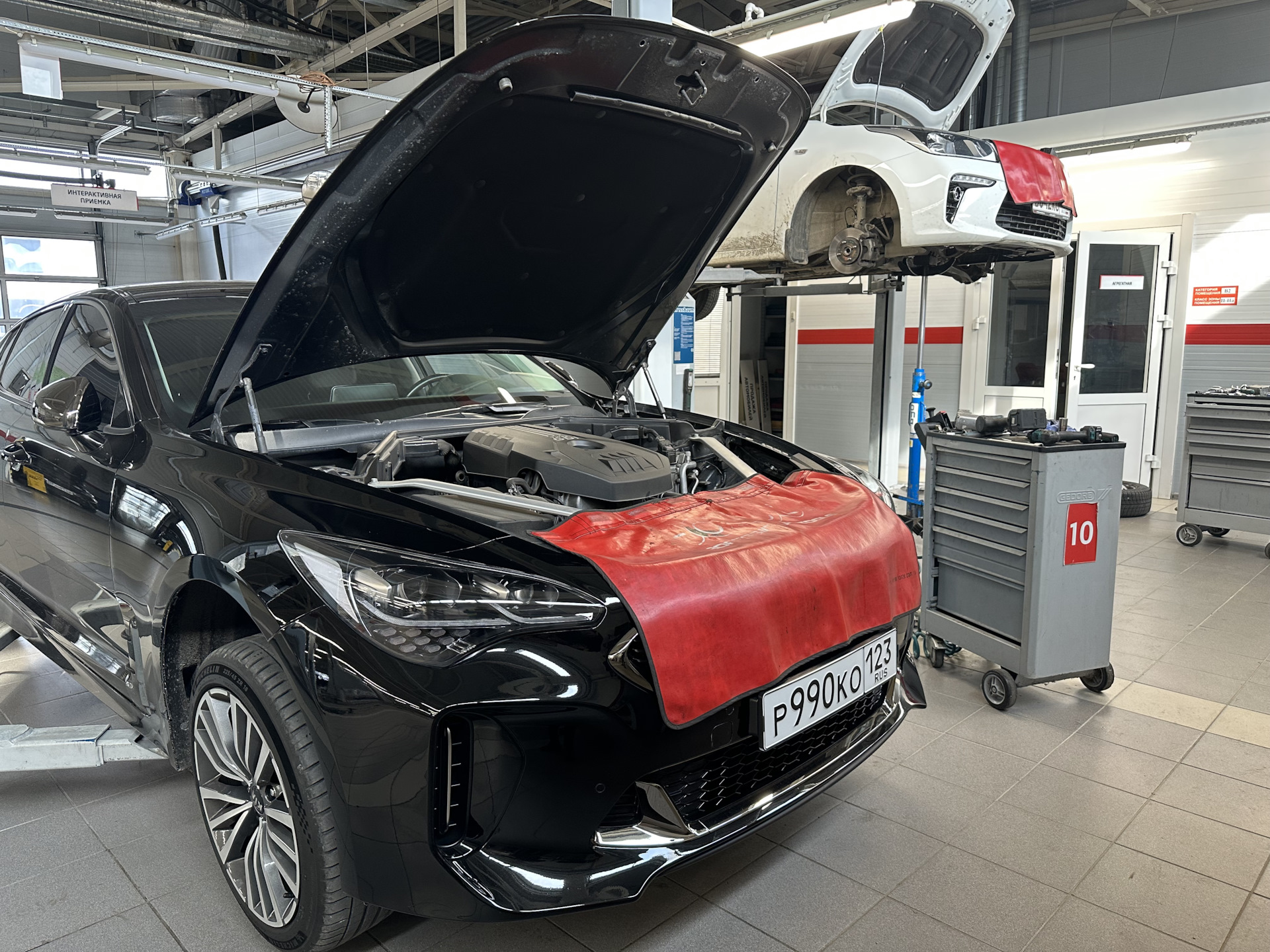 Stinger жрет масло?! Дилер льет S-OIL?! Все как в страшном сне. — KIA ...