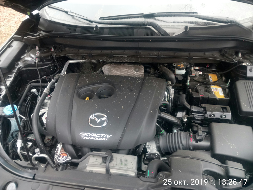 Пробег 600км. — Mazda CX-5 (2G), 2,5 л, 2019 года | наблюдение | DRIVE2