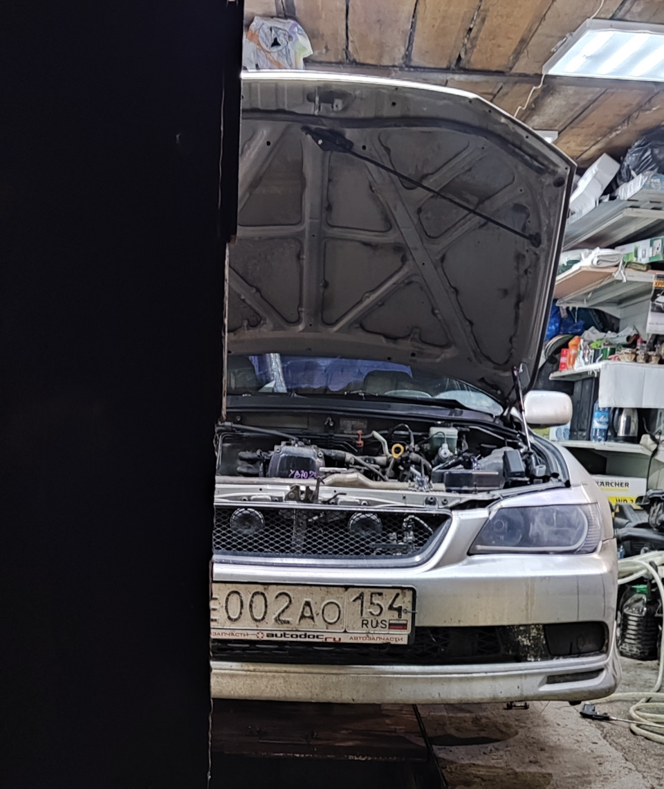 Борьба с масложором в 2-х актах. Раскоксовка лавром — Lexus IS I, 2 л ...