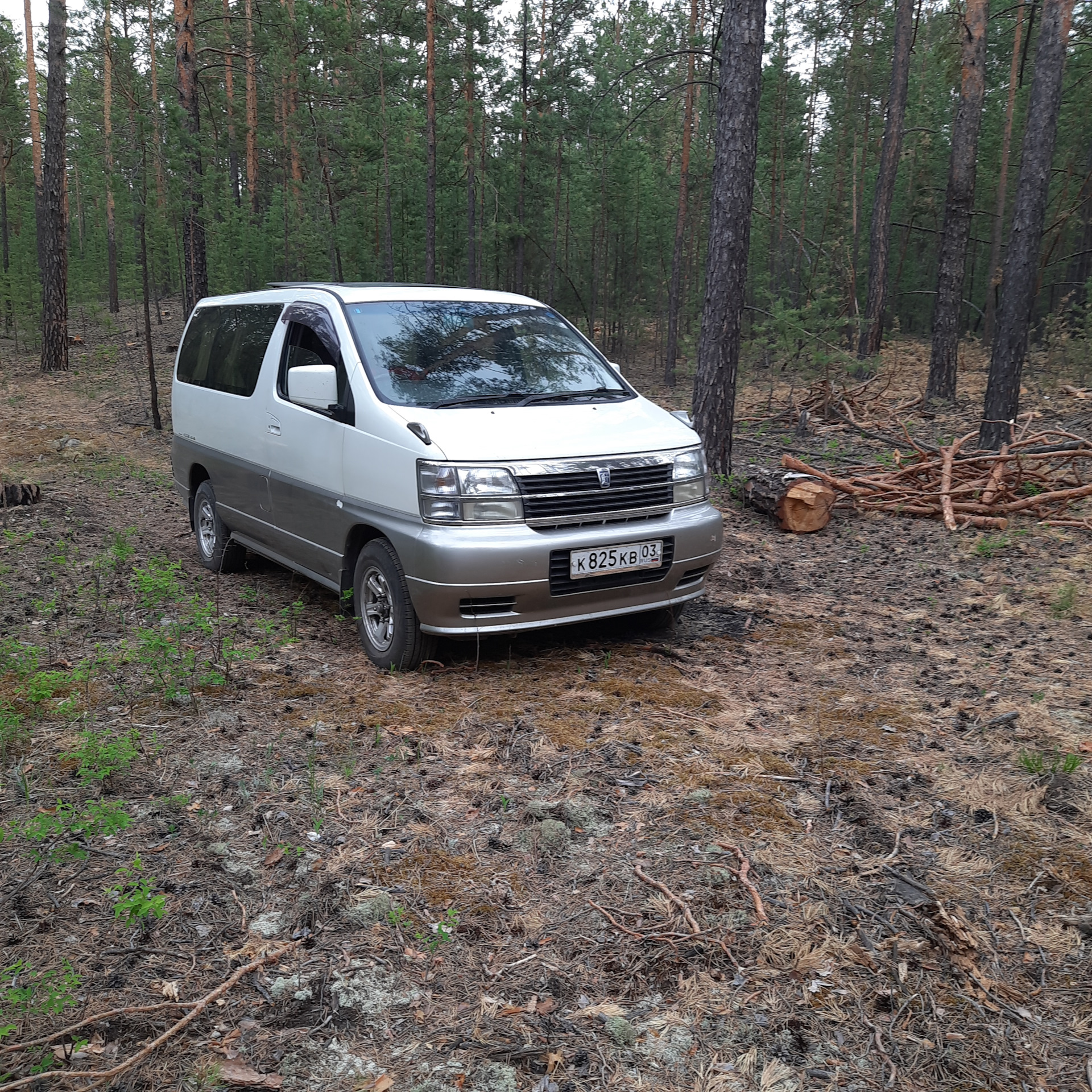 1й день Лета — Nissan Elgrand (E50), 3,2 л, 1997 года | путешествие | DRIVE2