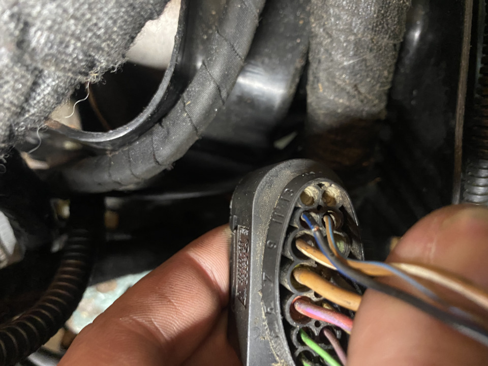 Электродроссель Часть 3 Проводка и Круиз — Volkswagen Golf Mk4, 1,8 л ...