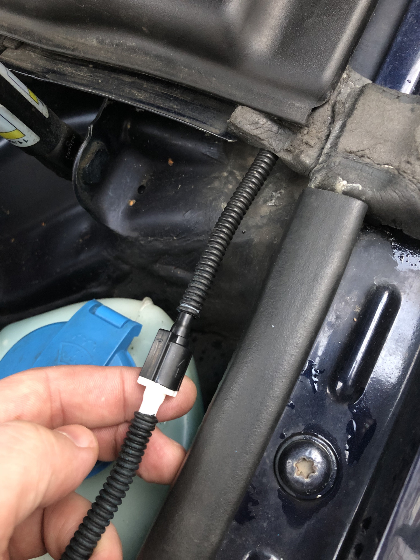 Седьмое ТО, замена левой подушки двигателя(ошибка p1573-004), замена ...