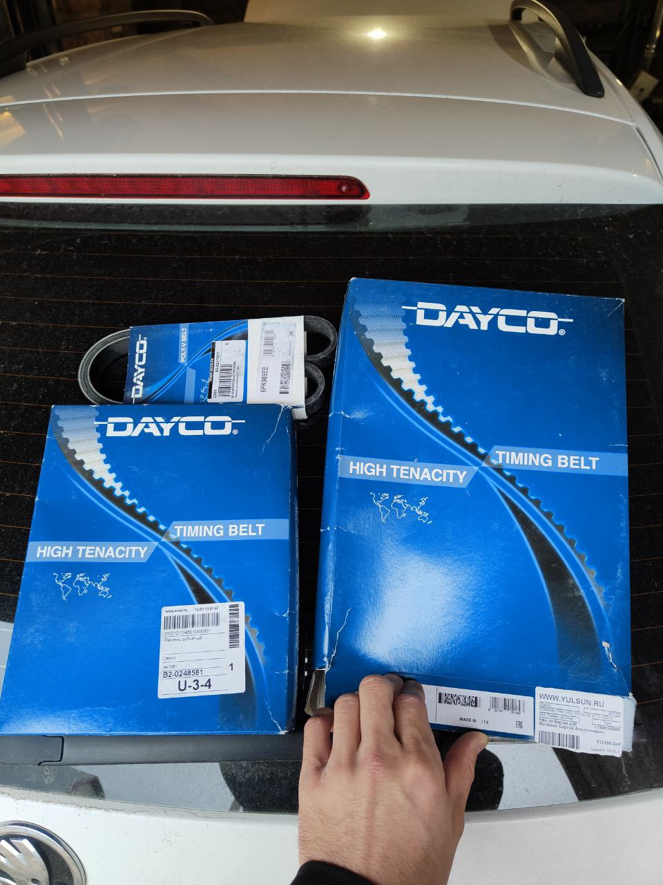 Ремень ГРМ, ремень помпы, ОЖ, масло, колодки. — Skoda Octavia A7 Mk3, 1 ...