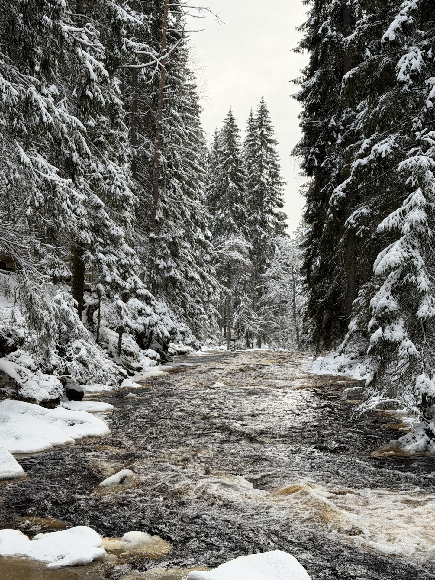 Замерз дизель — Land Rover Discovery III, 2,7 л, 2007 года | поломка ...