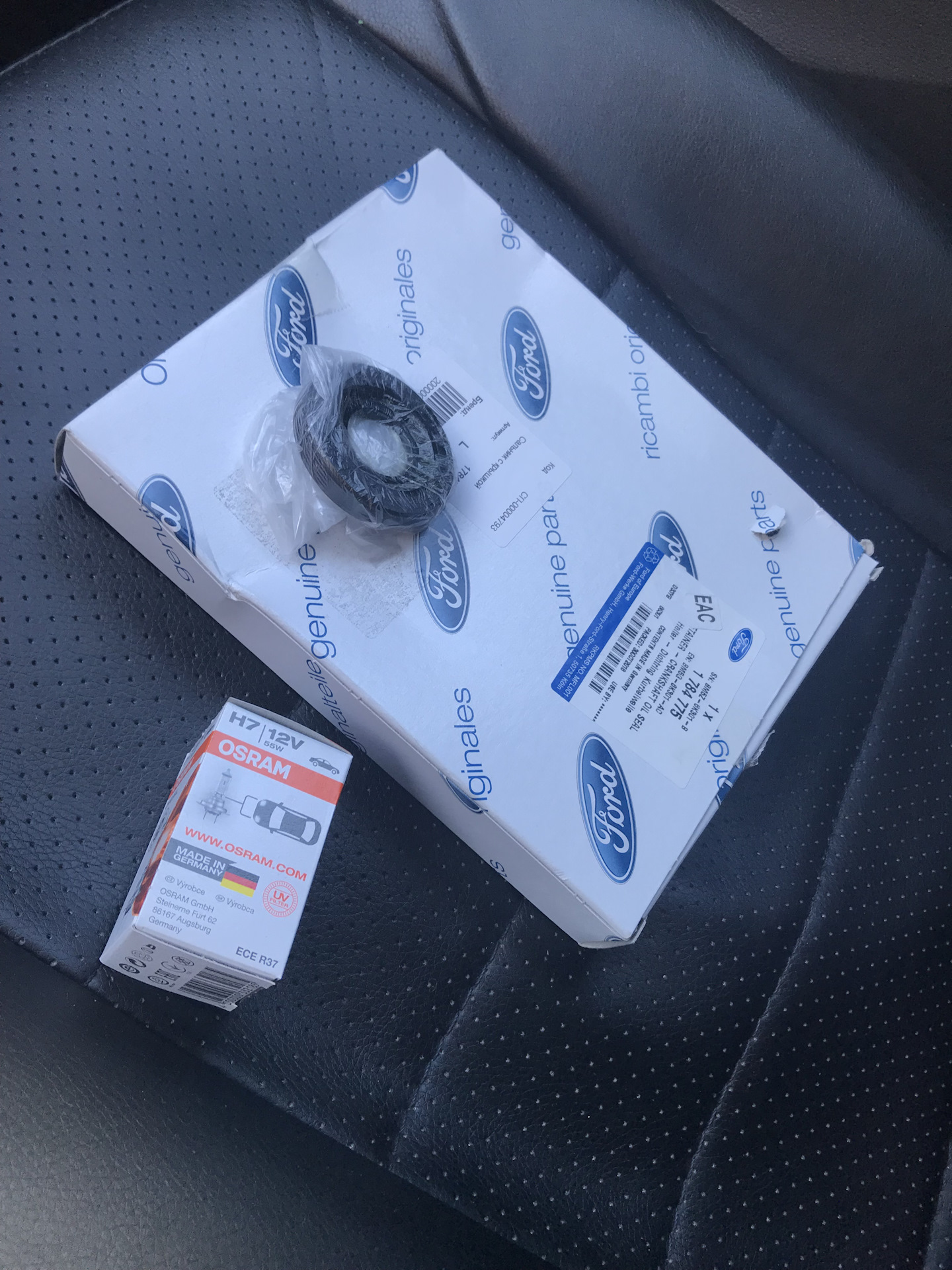 В догонку Крику души) — Ford Focus Hatchback III, 1,6 л, 2011 года ...