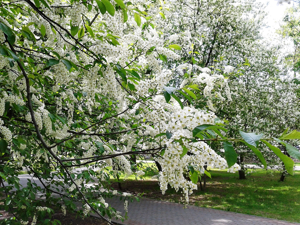 Пра-прагулки 69 — DRIVE2