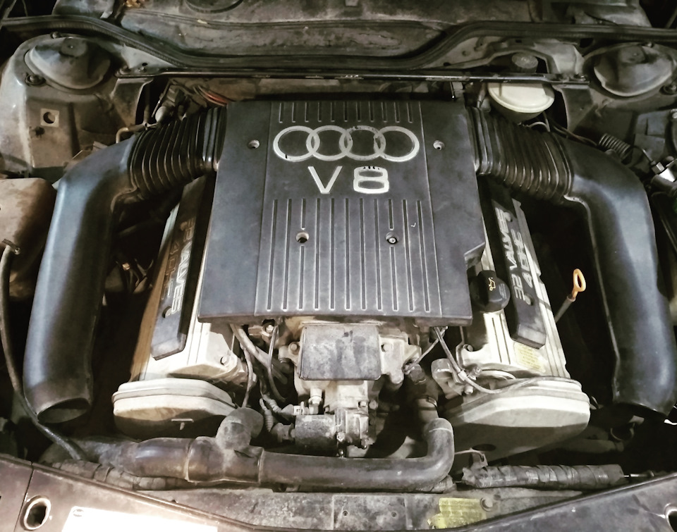 Abh v8 — Сообщество «Audi C3 Club (100, 200 и V8)» на DRIVE2