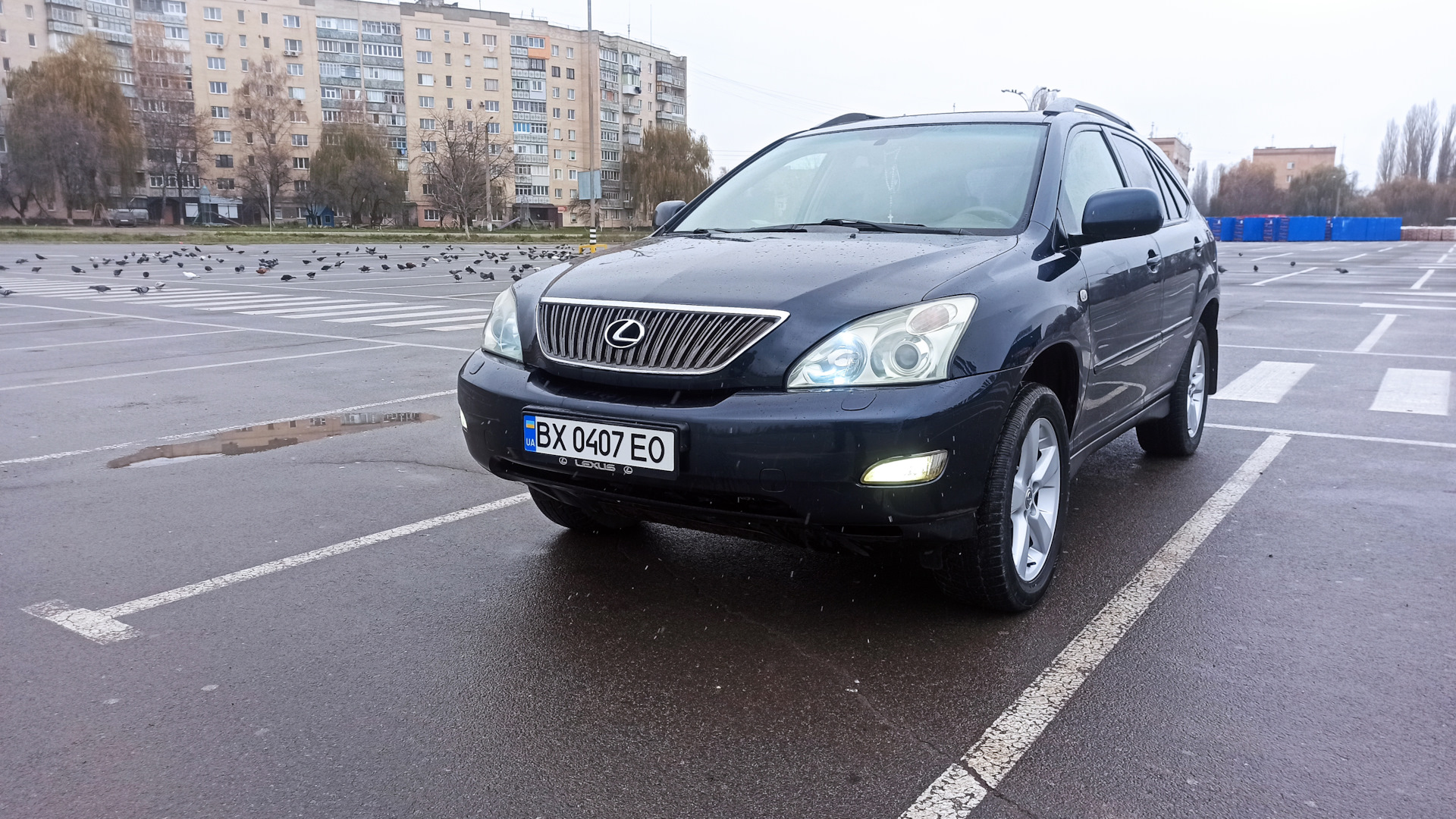 Lexus RX (2G) 3.3 бензиновый 2003 | 330 на DRIVE2