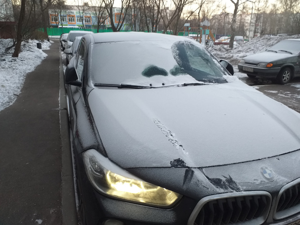 226. Эстеры для Аванты — BMW X2 (F39), 2 л, 2019 года | расходники | DRIVE2