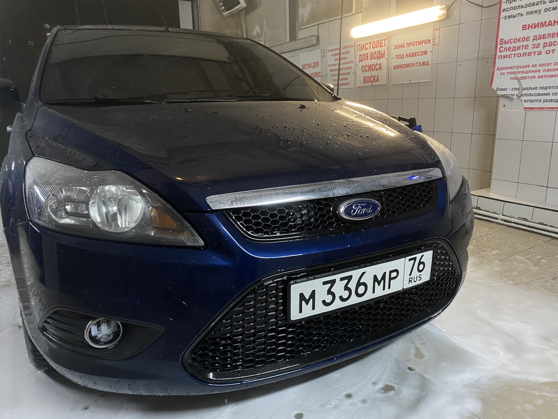 Решетка соты ST — Ford Focus Hatchback II, 1,6 л, 2010 года | тюнинг ...