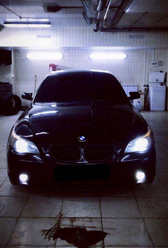 Led ПТФ — BMW 5 series (E60), 2,2 л, 2004 года | стайлинг | DRIVE2