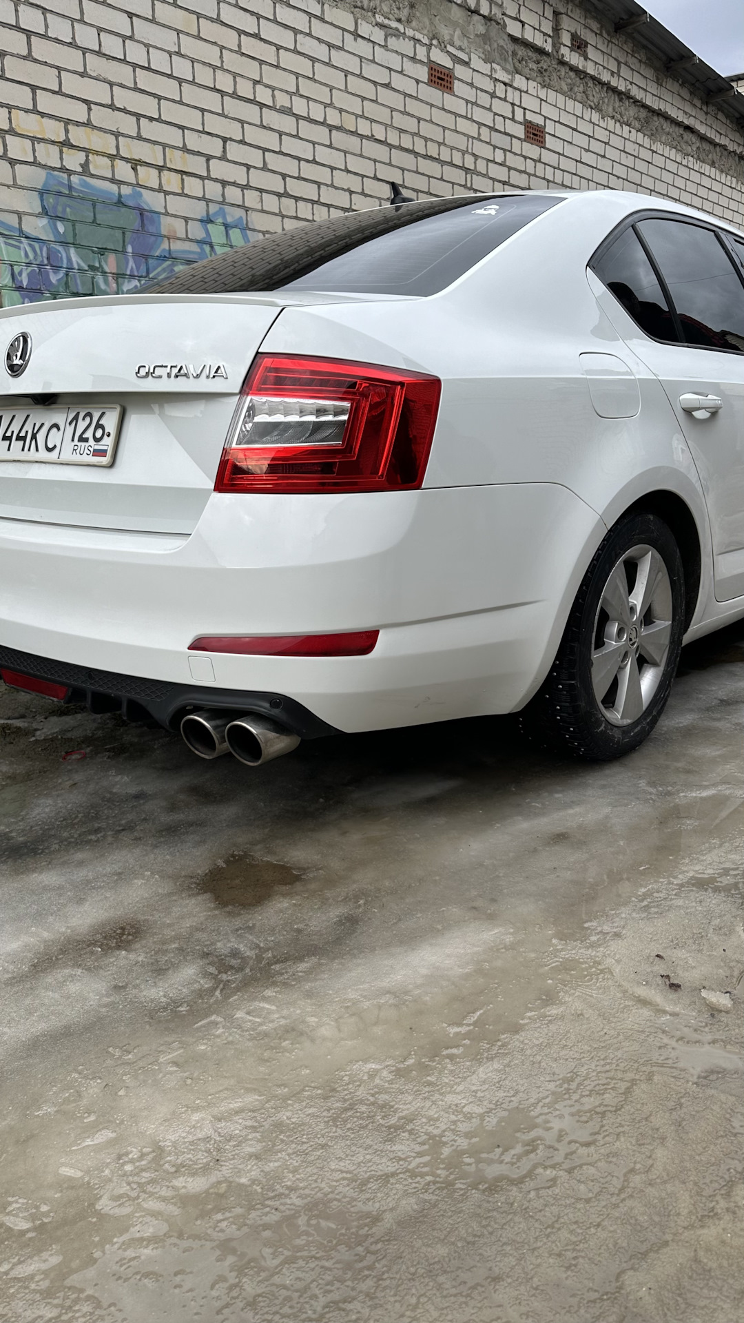 Легкая тонировка, брызговики в топку — Skoda Octavia A7 Mk3, 1,8 л, 2016 года | тюнинг | DRIVE2