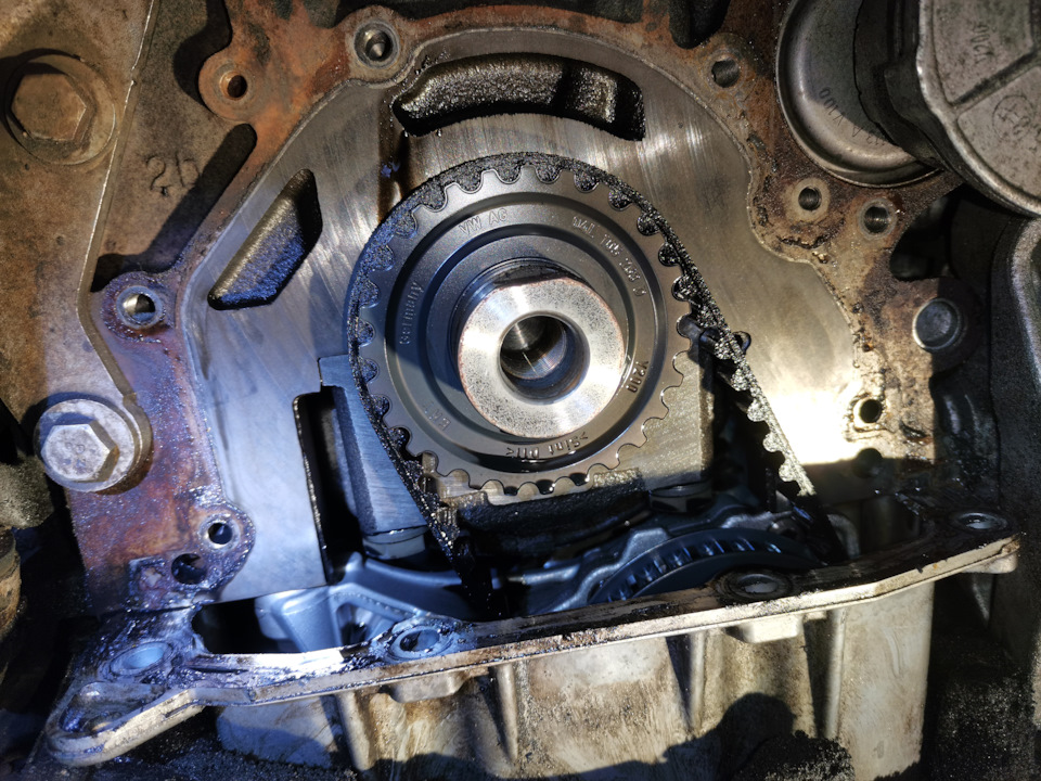 04L115264A Ремень грм VAG | Запчасти на DRIVE2