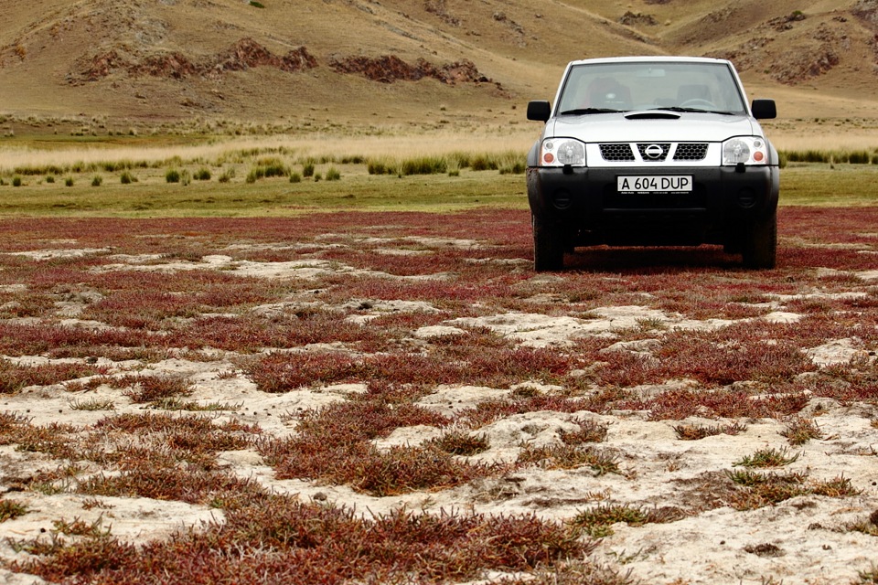Гряда кетмень и озеро Туз коль — Nissan NP300, 2,5 л, 2012 года ...
