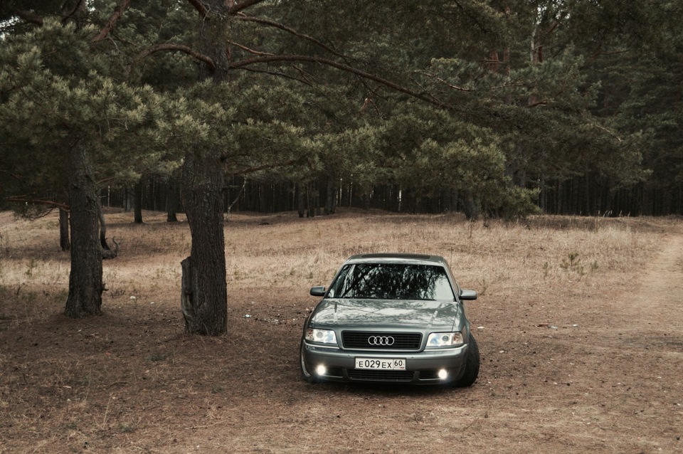 Немного фотоматериала — Audi A8 (D2), 2,8 л, 1999 года | фотография | DRIVE2