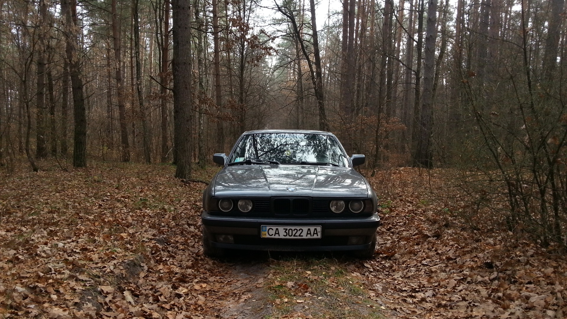 BMW 5 series (E34) 2.0 бензиновый 1989 | M20B20 на DRIVE2