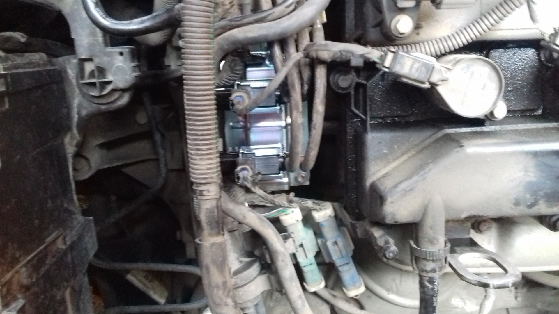 P2008 — Ford Focus II Sedan, 1,8 л, 2007 года | своими руками | DRIVE2