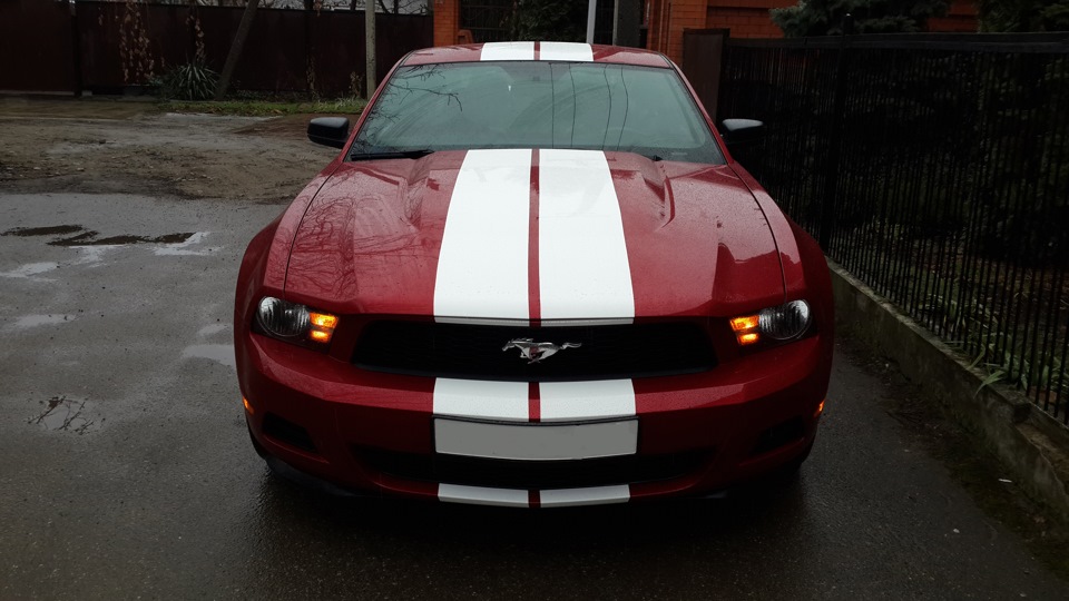 Страйпы в стиле Shelby GT500 — Ford Mustang (5G), 3,7 л, 2011 года ...