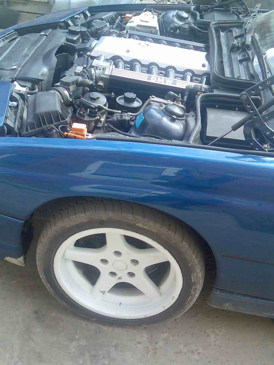 Мотор . . . V12 . . . 300 сил . . . — BMW 8 series (E31), 5 л, 1991 ...