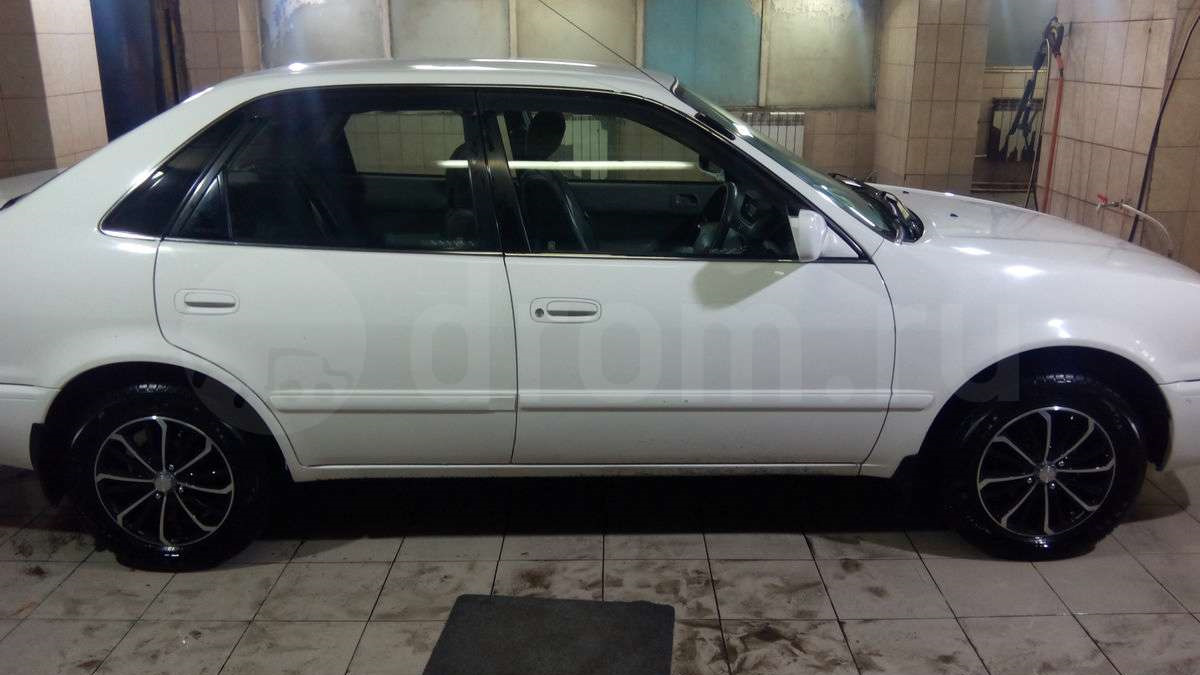 Toyota Sprinter (110) 1.6 бензиновый 1998 | AE114 S.E. Limited на DRIVE2