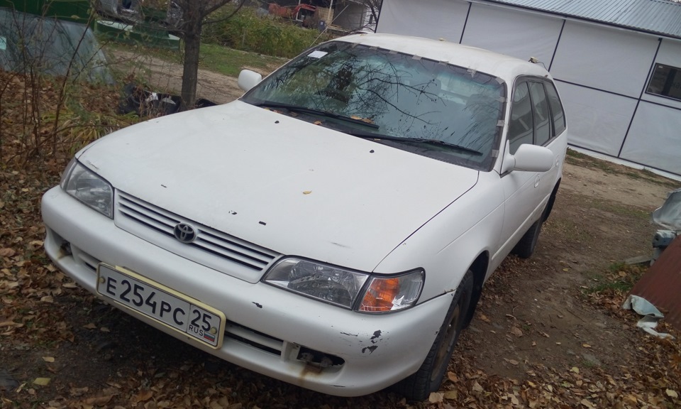 В семье пополнение, встречаем Toyota Corolla L Touring White Horse ...