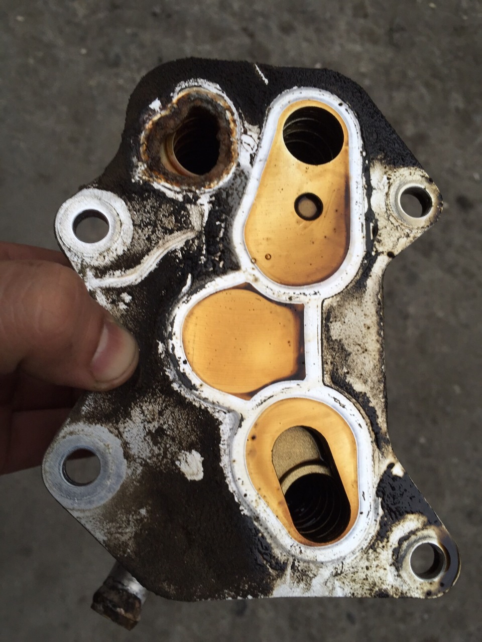 Масляной радиатор или Engine oil cooler — Volkswagen Passat B6, 2 л ...