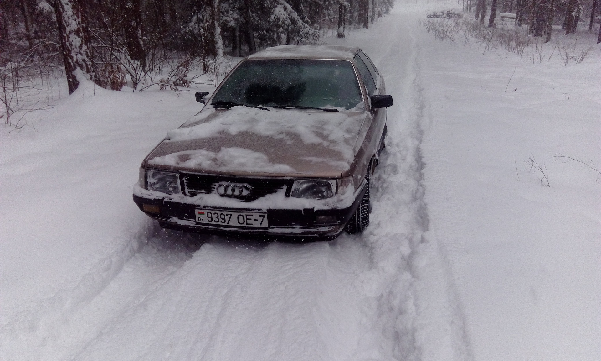quattro погода))) — Audi 100 (C3), 2,3 л, 1988 года | покатушки | DRIVE2