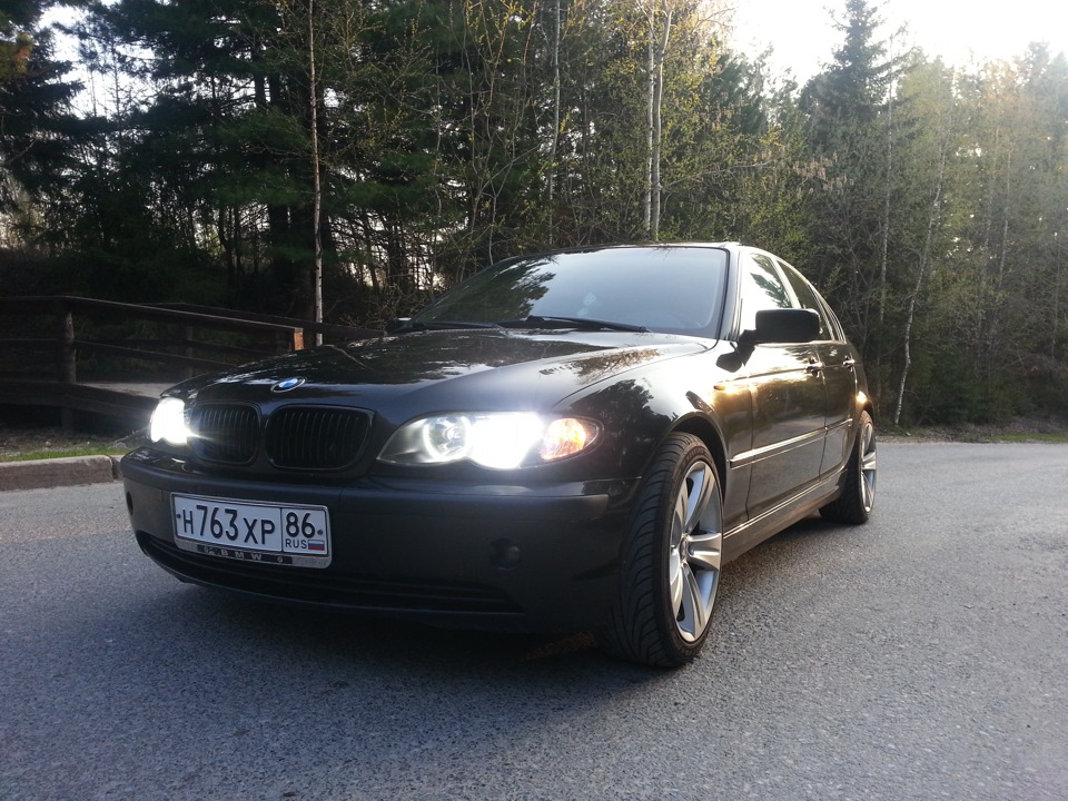 Shadow line! — BMW 3 series (E46), 2,5 л, 2002 года | стайлинг | DRIVE2