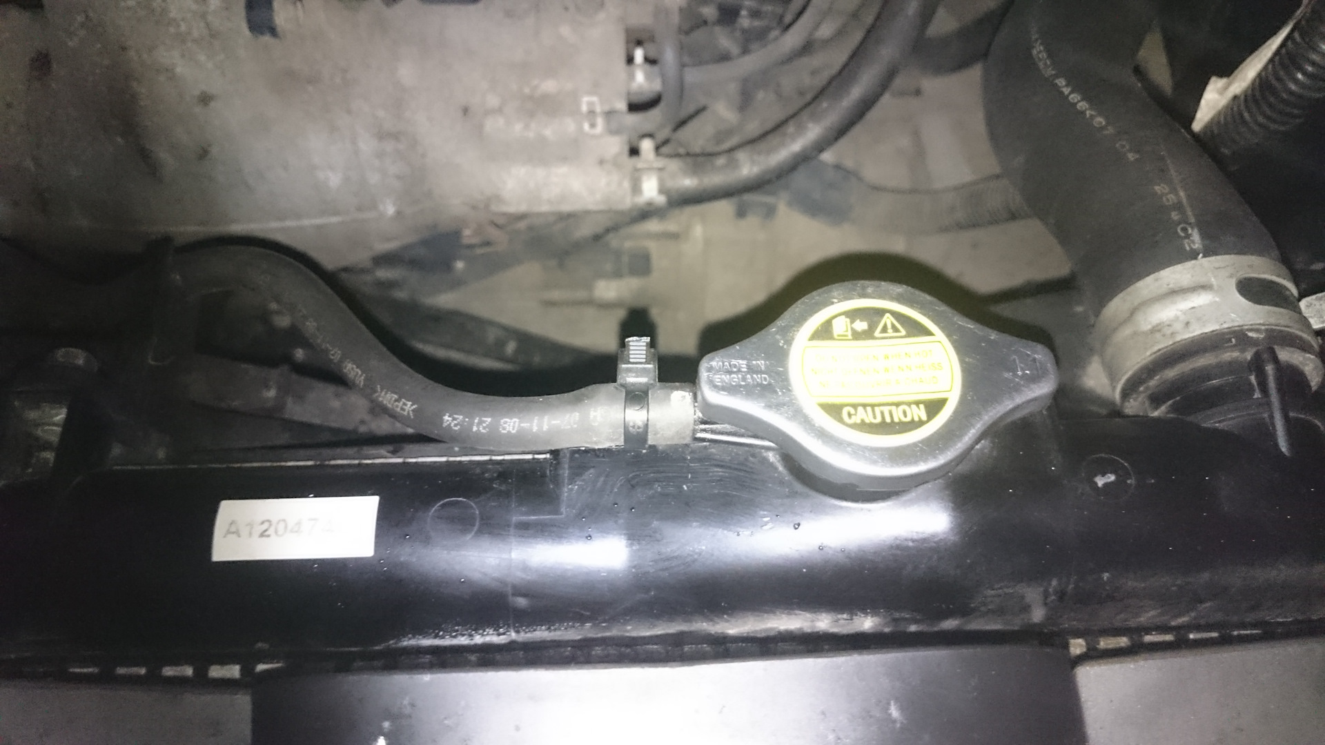 Антифриз, страйп, JDM. — Acura RDX (1G), 2,3 л, 2008 года | своими ...