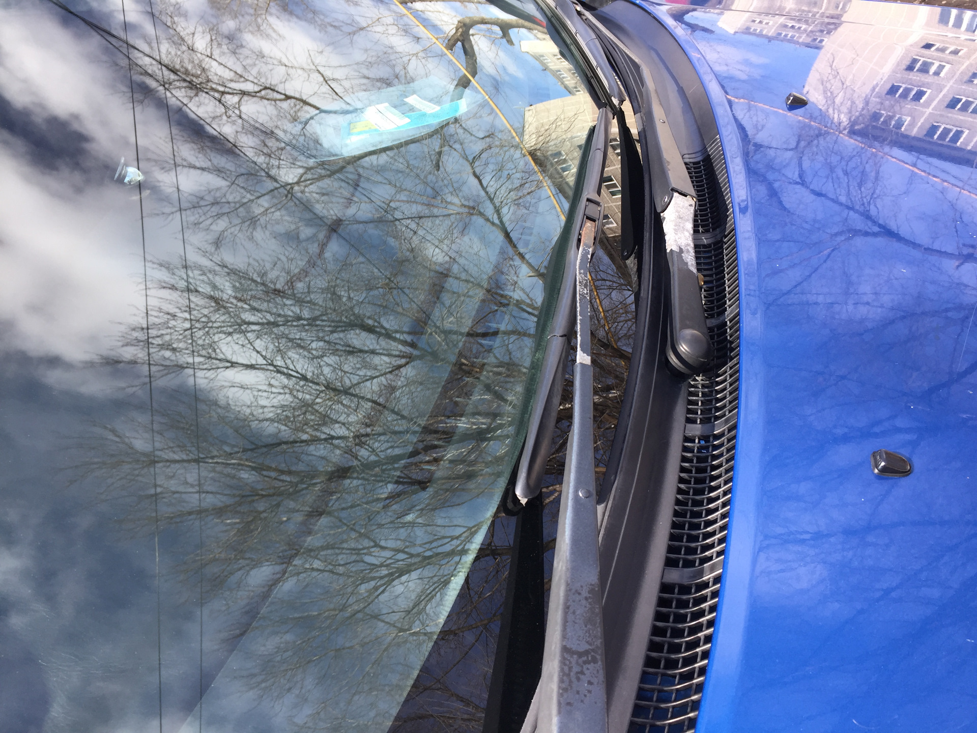 SPLINTEX Лобовое стекло + комплектующие OEM (замена) — Subaru Impreza ...