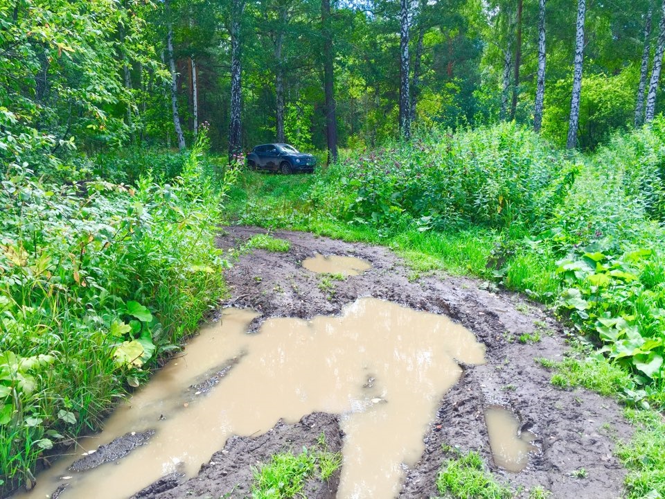 22. Разведка лесная — Nissan Juke (1G), 1,6 л, 2013 года | покатушки ...