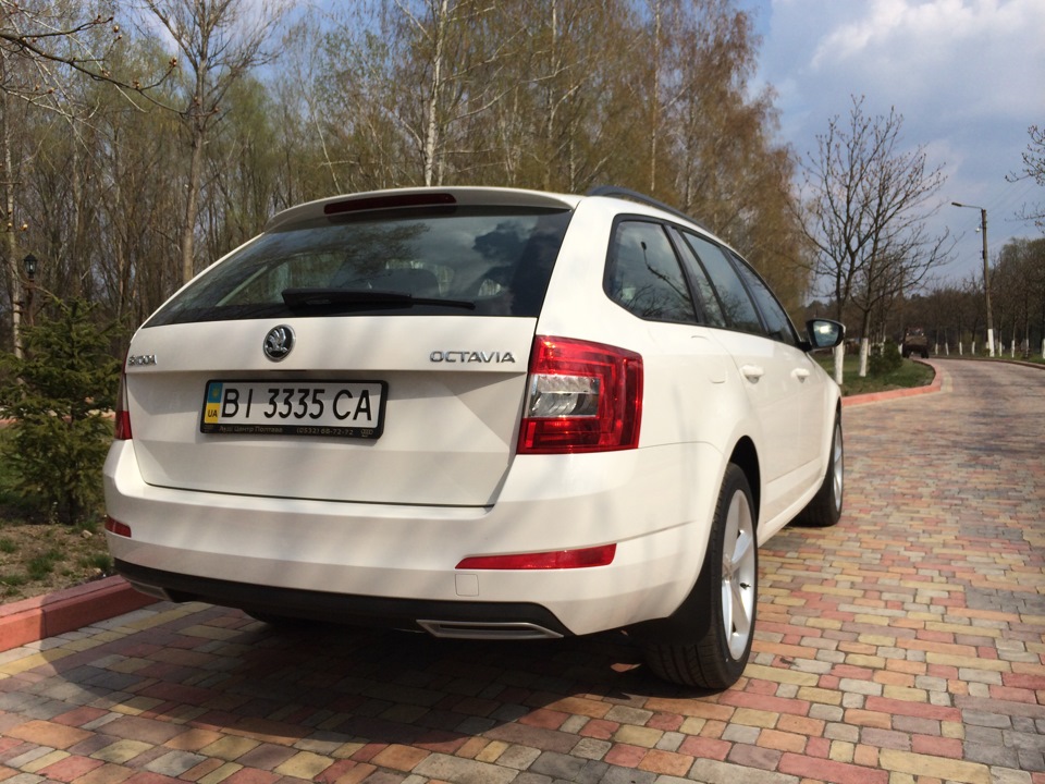 Имитация выхлопных труб. — Skoda Octavia Combi A7 Mk3, 1,4 л, 2014 года | стайлинг | DRIVE2
