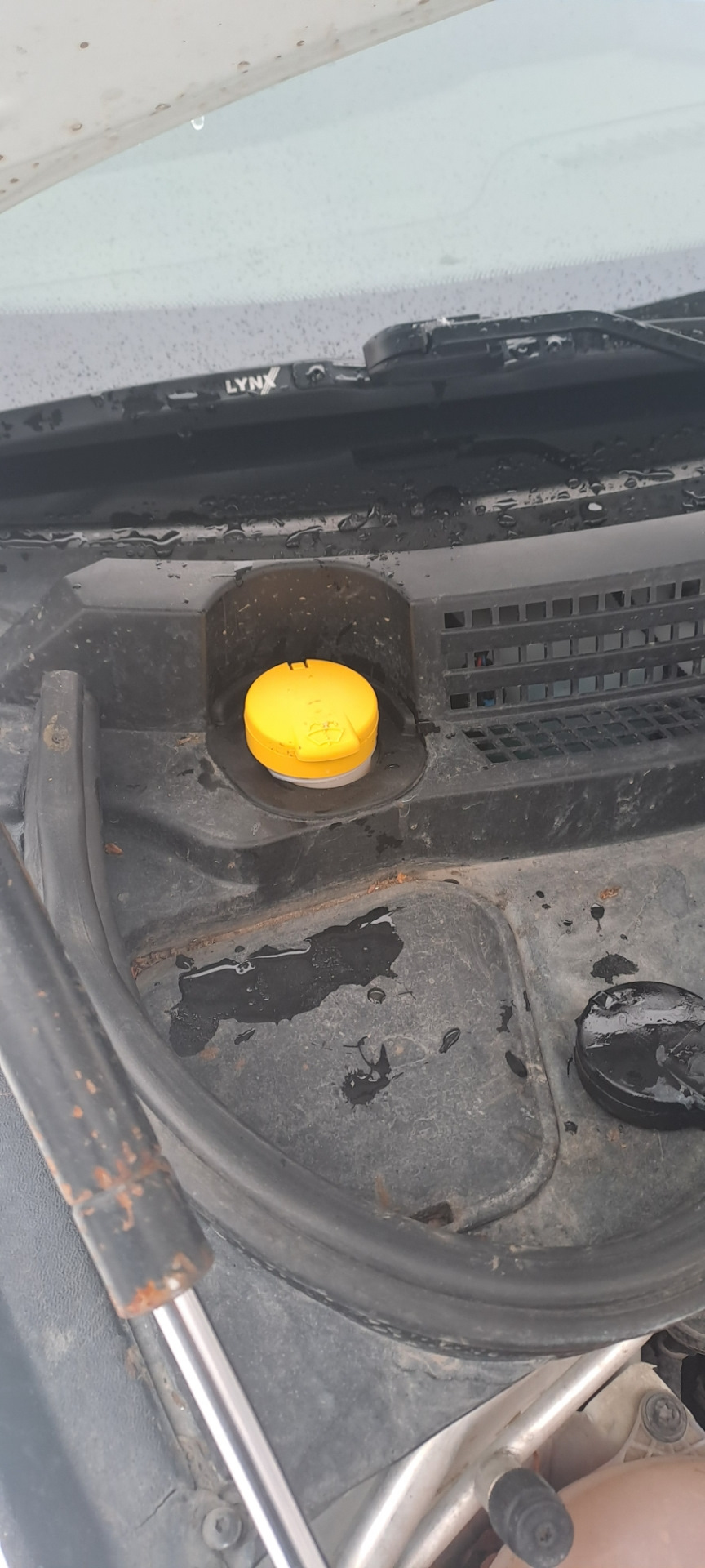 Уплотнительное кольцо бачка омывателя и новая крышка. — Lada Vesta SW ...